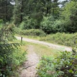 Weatherwax Trail, Washington - 294 Reviews, Map | AllTrails