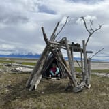 Carr-Gottstein Park Loop, Alaska - 39 Reviews, Map | AllTrails