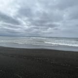 Damon Point State Park Trail, Washington - 490 Reviews, Map | AllTrails