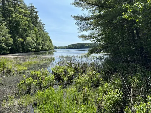 Best Hikes and Trails in Massasoit State Park | AllTrails