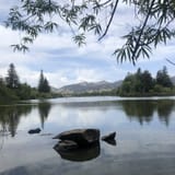 Spring Lake Loop, California - 1,420 Reviews, Map | AllTrails