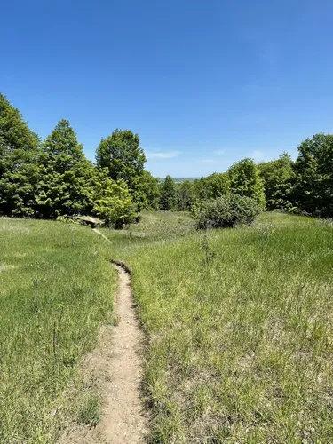 Best Hikes and Trails in Grand Traverse Commons Nature Area | AllTrails