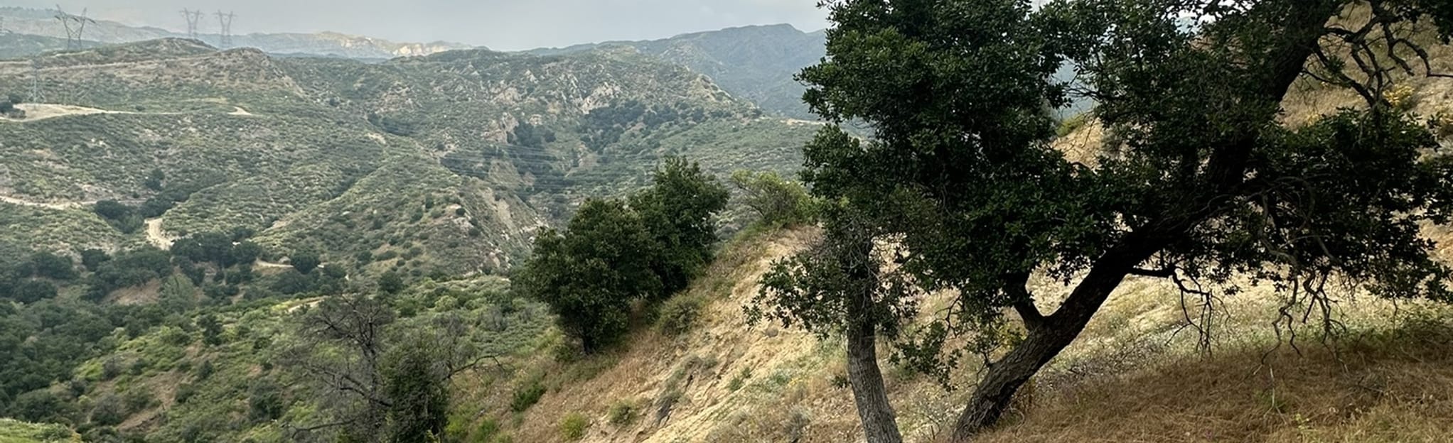 Elsmere Canyon Trail Loop, California - 415 Reviews, Map | AllTrails