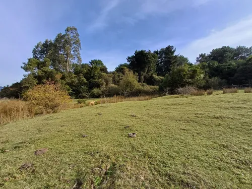 Best Hikes and Trails in Talcahuano | AllTrails