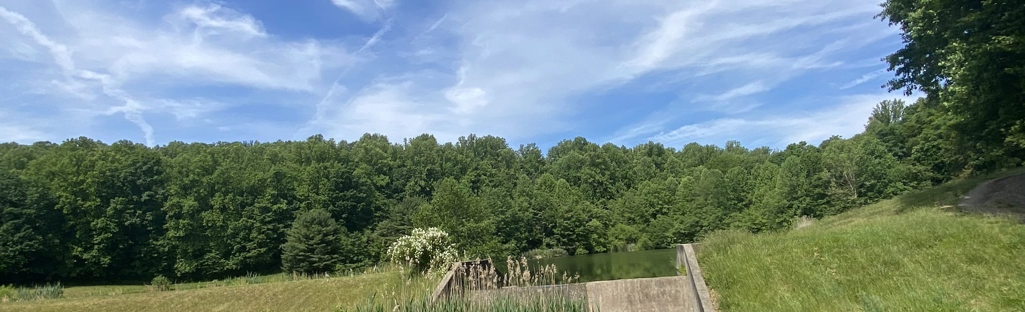 Birdsboro Waters Loop, Pennsylvania - 300 Reviews, Map | AllTrails