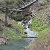 Whits Lakes Spring, Montana - 142 Reviews, Map | AllTrails