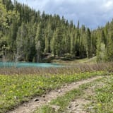 Whits Lakes Spring, Montana - 142 Reviews, Map | AllTrails