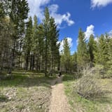 Whits Lakes Spring, Montana - 142 Reviews, Map | AllTrails