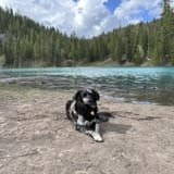 Whits Lakes Spring, Montana - 142 Reviews, Map | AllTrails
