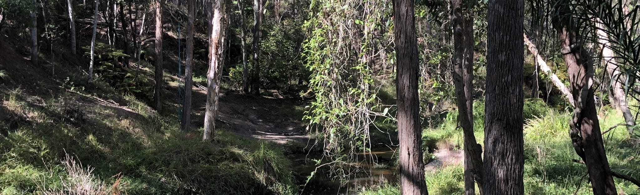 Redlands Loop, Queensland, Australia - 67 Reviews, Map | AllTrails