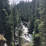 Helm Creek Campground via Cheakamus Lake Trail, British Columbia ...