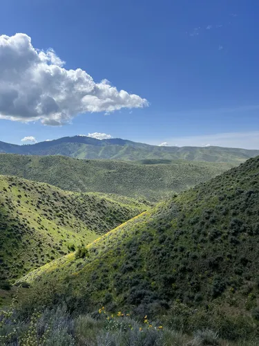 10 Best Trail Running Trails in Boise | AllTrails