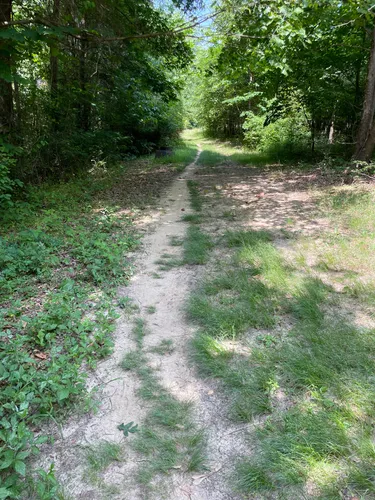 Best Hikes and Trails in The Preserve at Robbins Park | AllTrails