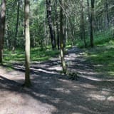 Jacoby Falls Trail, Pennsylvania - 549 Reviews, Map | AllTrails