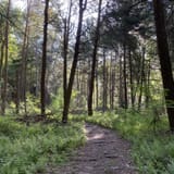 Jacoby Falls Trail, Pennsylvania - 549 Reviews, Map | AllTrails