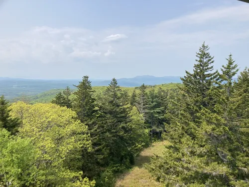 Best Hikes and Trails in High Watch Preserve | AllTrails