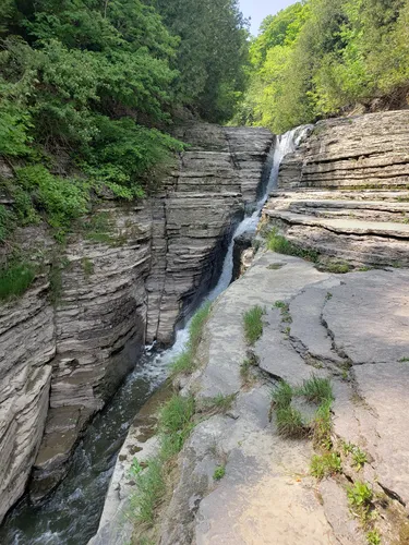 Best Hikes and Trails in Lowville | AllTrails Best Hikes and Trails in Lowville | AllTrails