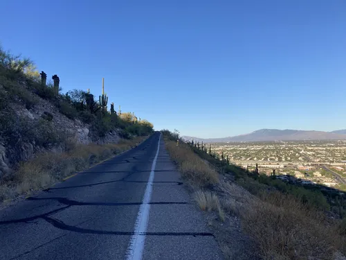 Best Hikes and Trails in Sentinel Peak Park | AllTrails