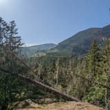 Wesley Ridge, British Columbia, Canada - 716 Reviews, Map | AllTrails