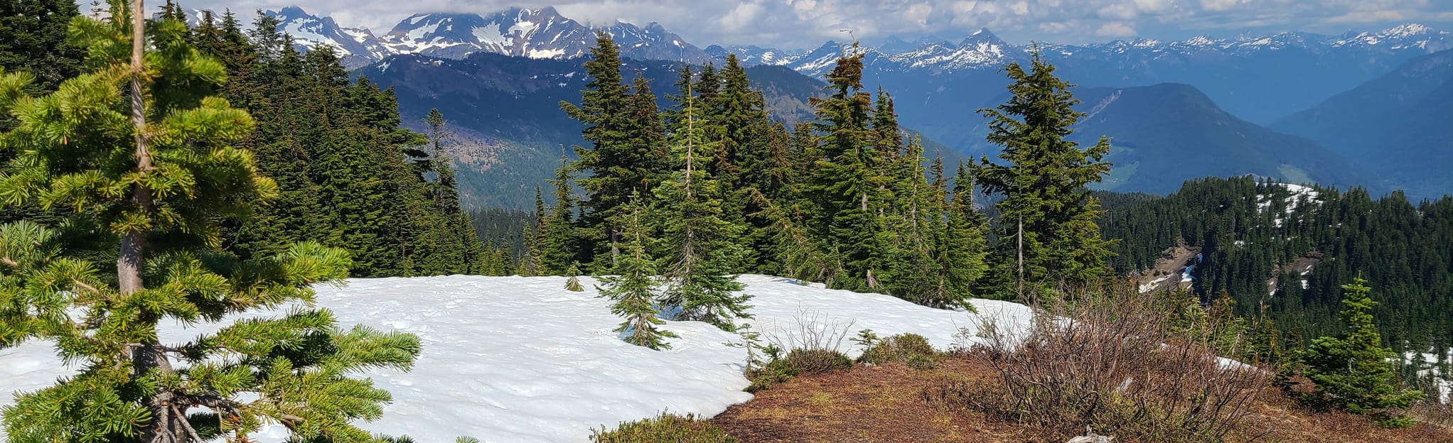 Mount Mercer : 55 Reviews, Map - British Columbia, Canada | AllTrails
