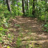 Bootleg Access Trail, Missouri - 72 Reviews, Map | AllTrails