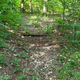 Bootleg Access Trail, Missouri - 72 Reviews, Map | AllTrails