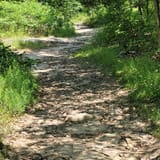 Devil's Honeycomb Trail , Missouri - 681 Reviews, Map | AllTrails