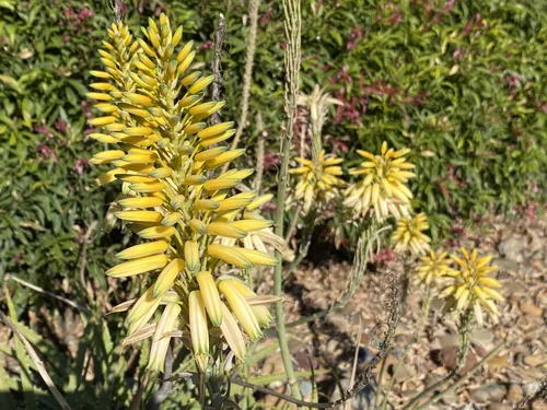 Best Hikes and Trails in Point Cartwright Reserve | AllTrails