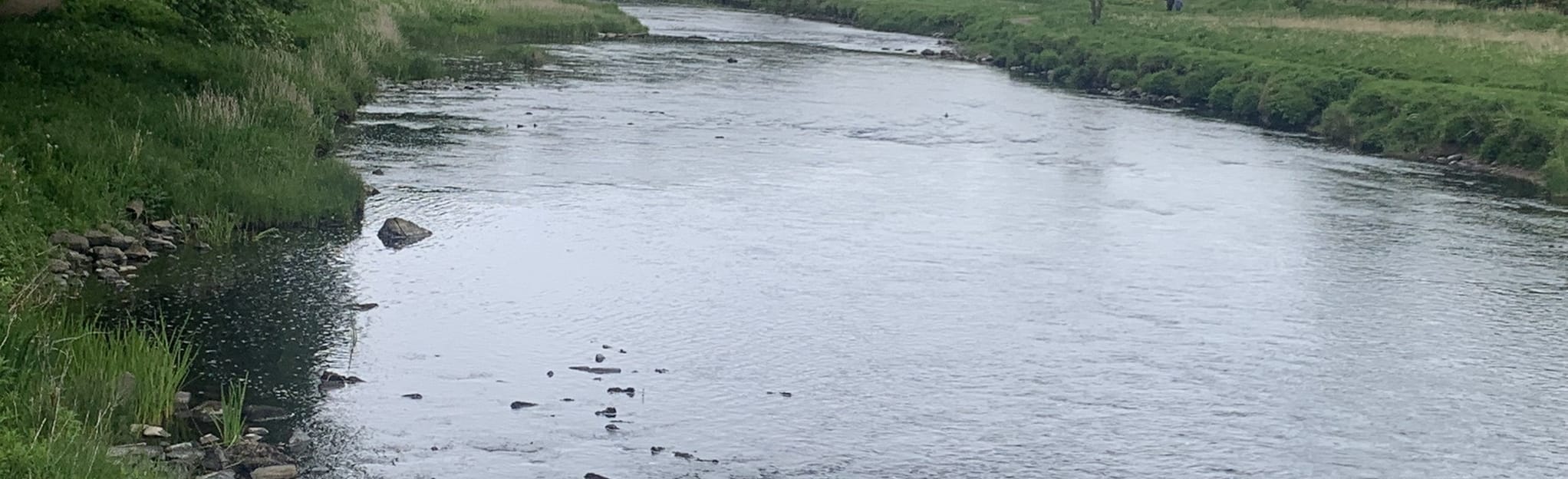 Thurso Circular, Highlands, Scotland - 3 Reviews, Map | AllTrails