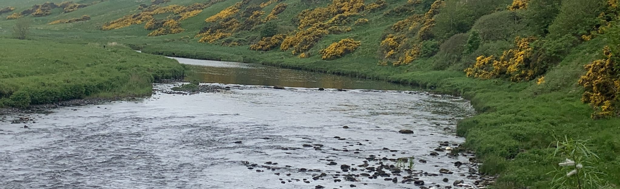 River Thurso Circular: 2 fotos - Highlands, Escocia | AllTrails