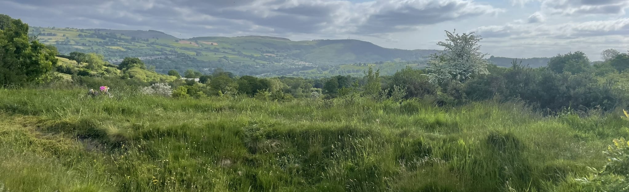 Mynydd Rudry and Coed Parc-y-Van Circular: 10 Reviews, Map - Caerphilly ...