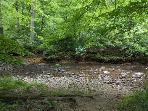 Best Hikes and Trails in Rachel Carson Conservation Park | AllTrails