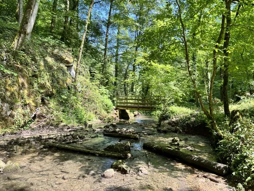 10 Best Trails and Hikes in Basel-Country | AllTrails