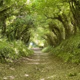 Halnaker Circular, West Sussex, England - 257 Reviews, Map | AllTrails