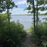 Bloodroot Trail, Indiana - 556 Reviews, Map | AllTrails