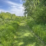 Bloodroot Trail, Indiana - 556 Reviews, Map | AllTrails