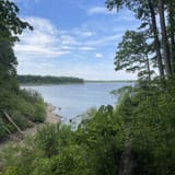 Bloodroot Trail, Indiana - 556 Reviews, Map | AllTrails