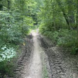 Bloodroot Trail, Indiana - 556 Reviews, Map | AllTrails