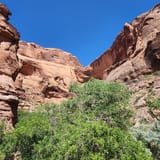 Moonflower Canyon Trail, Utah - 400 Reviews, Map | AllTrails