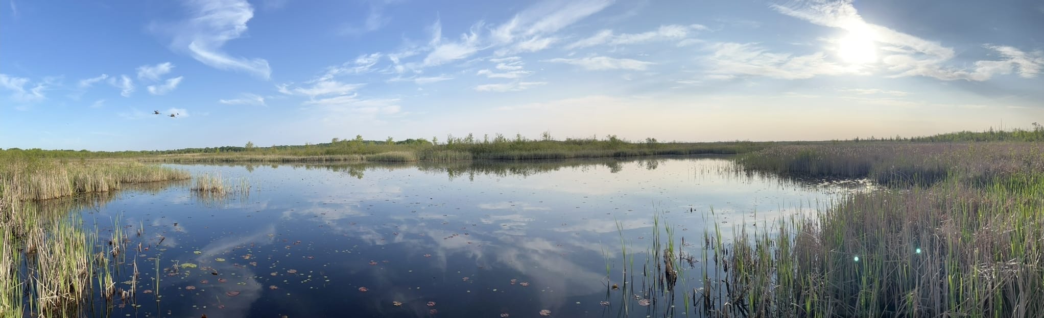 Mud Lake Path, Wisconsin - 4 Reviews, Map | AllTrails