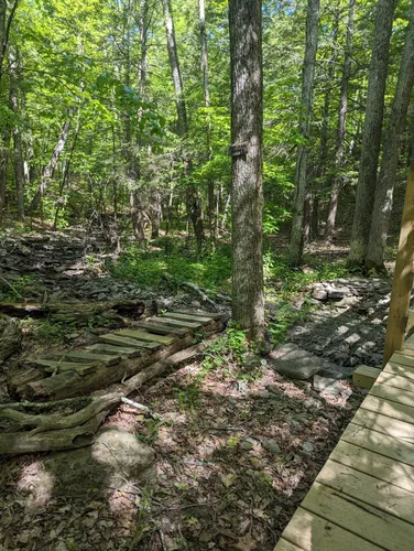 Best Hikes and Trails in Two Rivers State Park Recreation Area | AllTrails