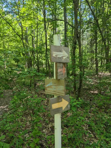 Best Hikes and Trails in Two Rivers State Park Recreation Area | AllTrails