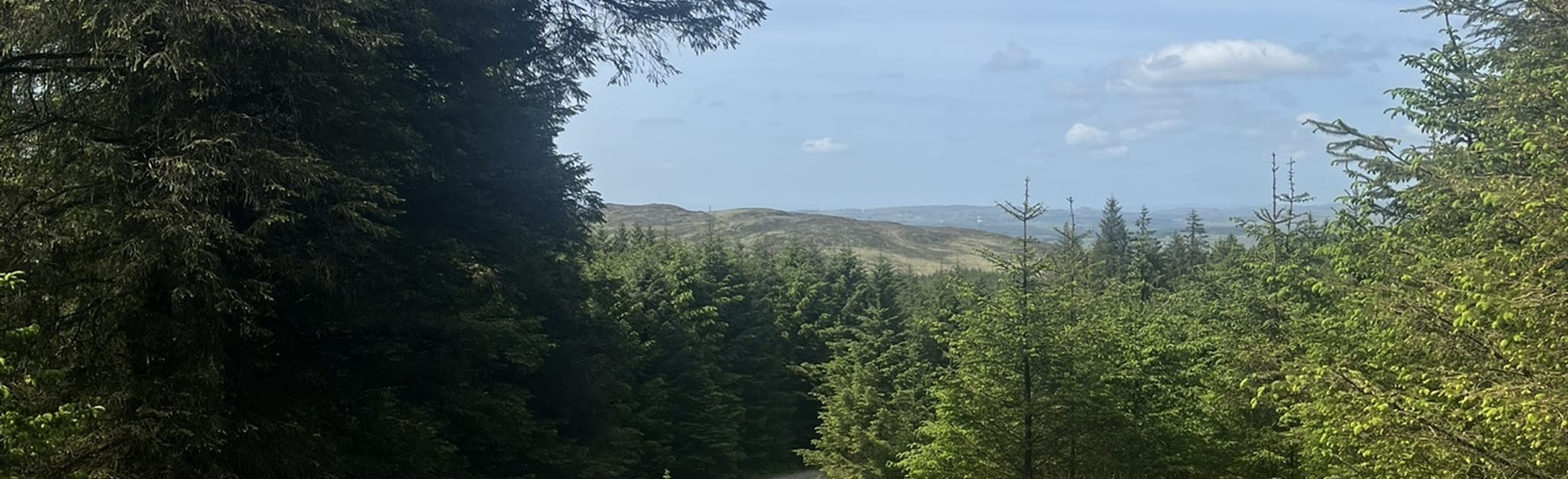 Davagh Forest Path, Mid Ulster, Northern Ireland - 56 Reviews, Map ...