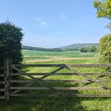 Shipbourne and the Fairlawne Estaten Circular, Kent, England - 100 ...