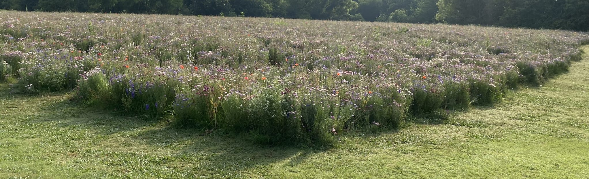 Crowley Park, Texas - 92 Reviews, Map | AllTrails