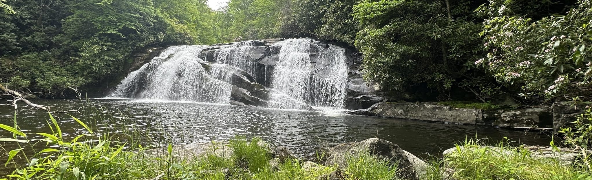 Snowbird Creek Waterfalls: 116 Reviews, Map - North Carolina | AllTrails