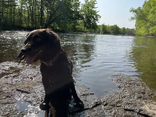 Best Hikes and Trails in Governor Earl Peshtigo River State Forest ...