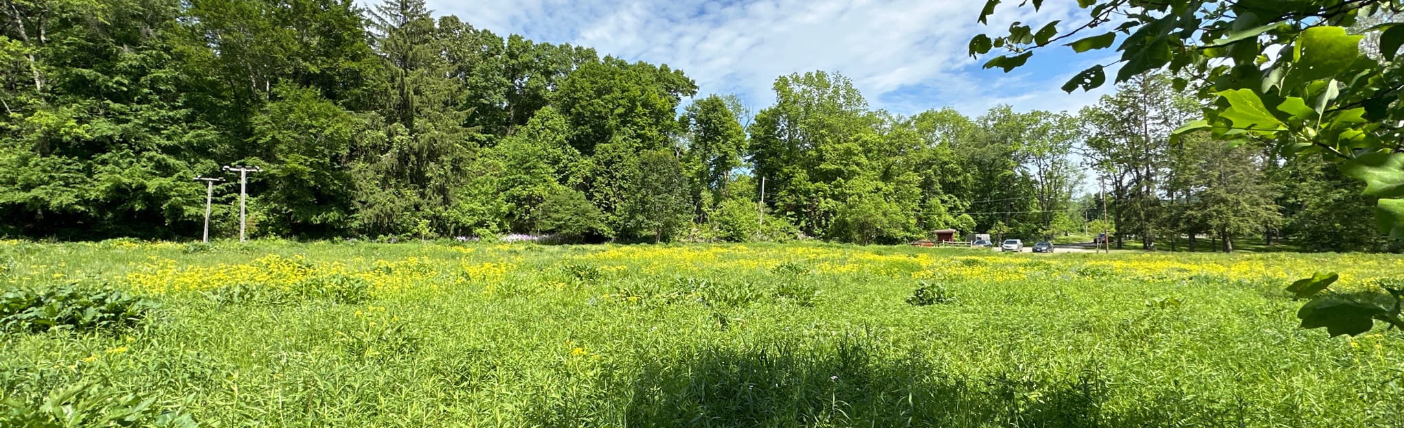 Spring Valley Extended Loop, Ohio - 355 Reviews, Map | AllTrails