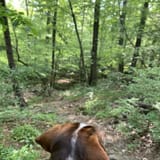 Washington Valley Park Trail, New Jersey - 648 Reviews, Map | AllTrails