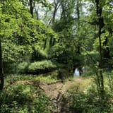 Washington Valley Park Trail, New Jersey - 648 Reviews, Map | AllTrails